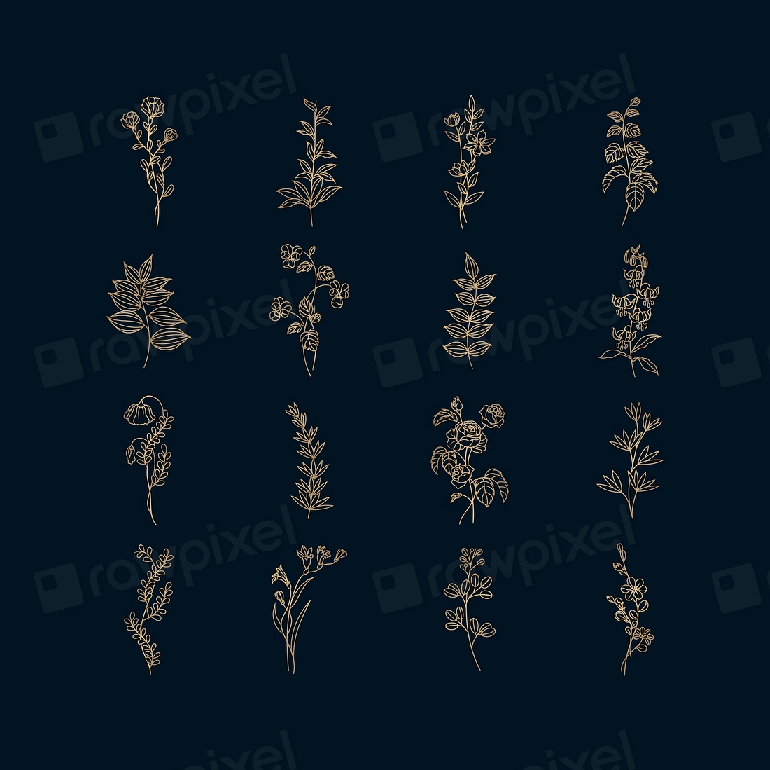 Blooming botanical element design vector | Premium Vector - rawpixel