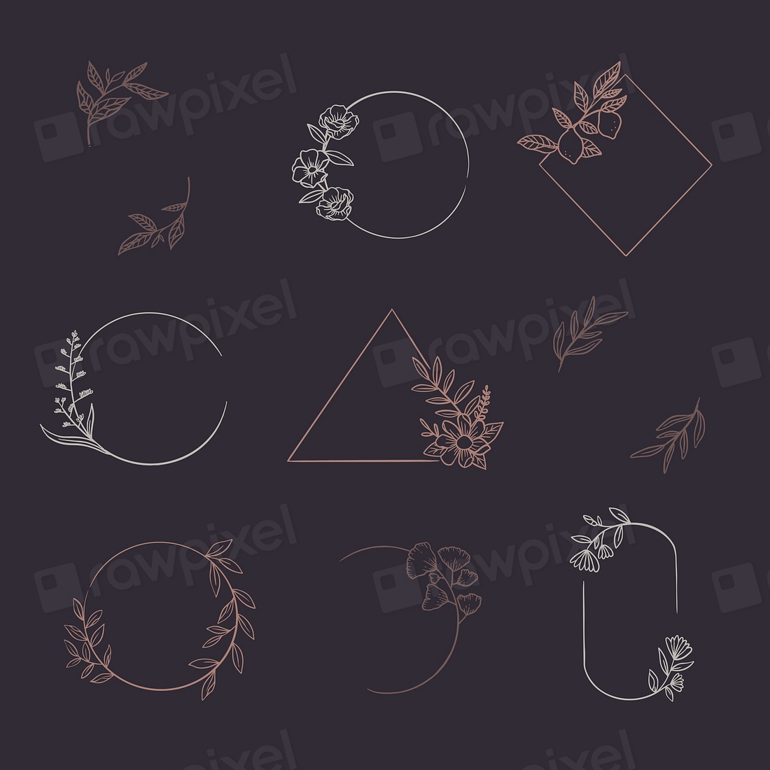 Botanical frame element vector collection | Premium Vector - rawpixel
