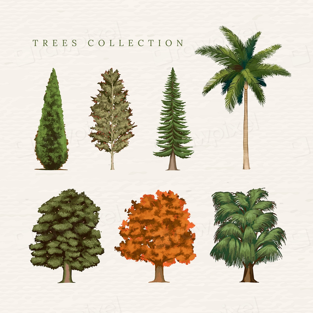Hand drawn trees vector set | Premium Vector - rawpixel
