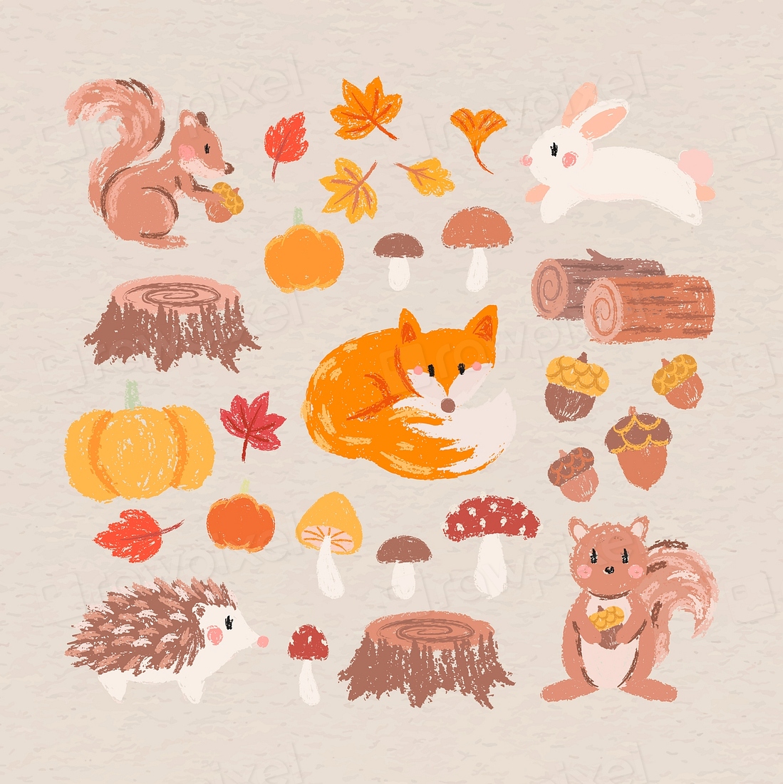 Autumn design elements vector set | Premium Vector - rawpixel