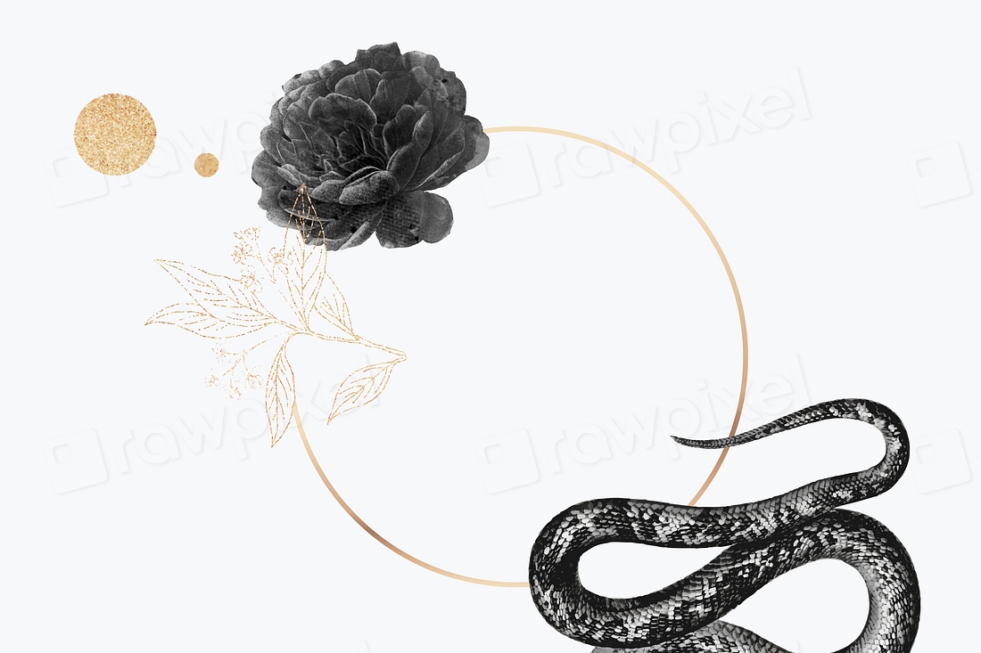 Blank golden frame snake vector | Premium Vector - rawpixel