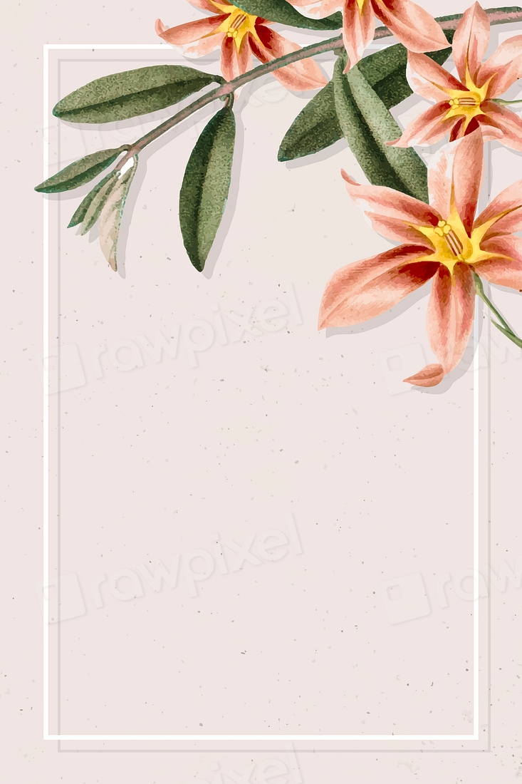 White frame sisyrinchium elegans vector | Premium Vector - rawpixel