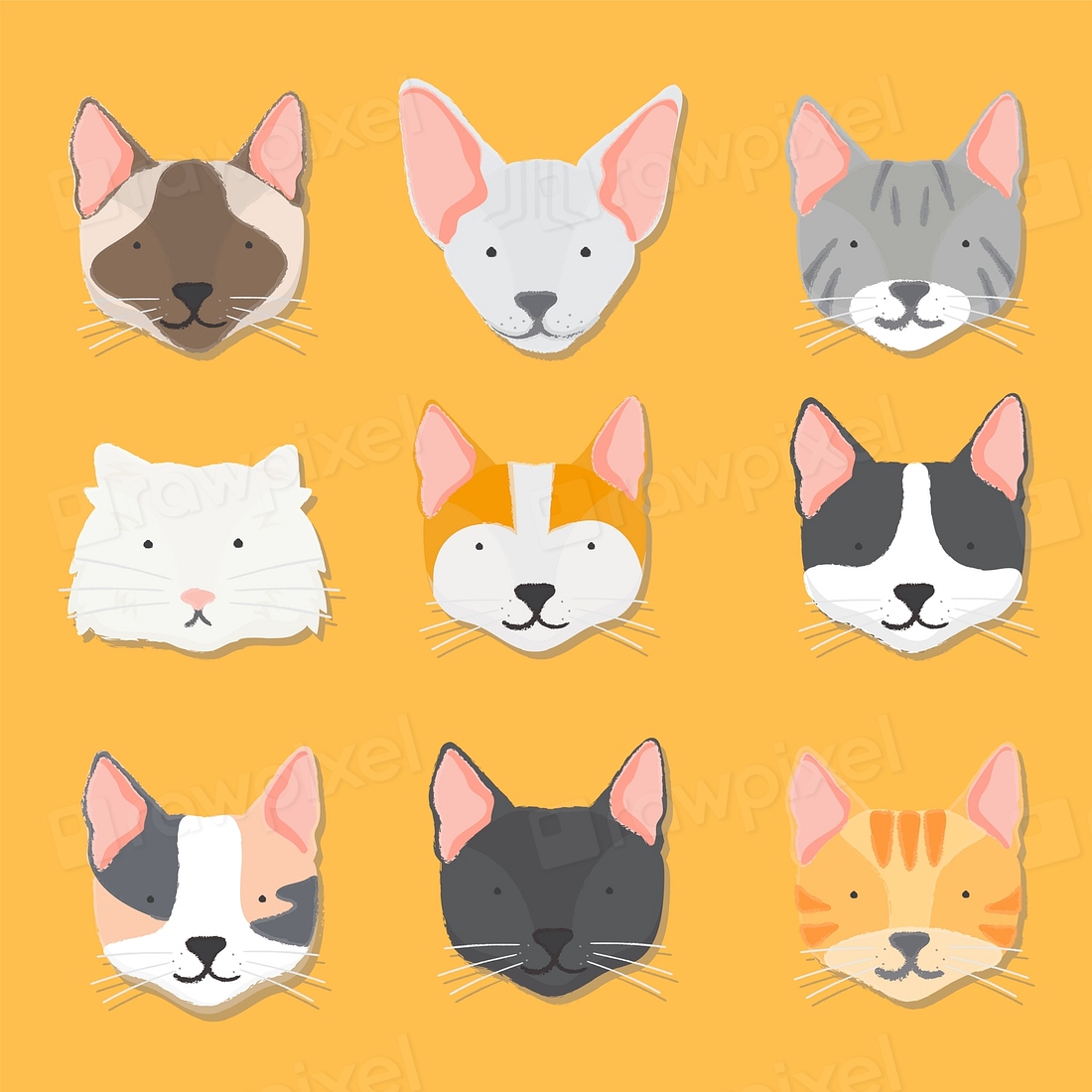Illustration set of cat heads | Premium Vector - rawpixel