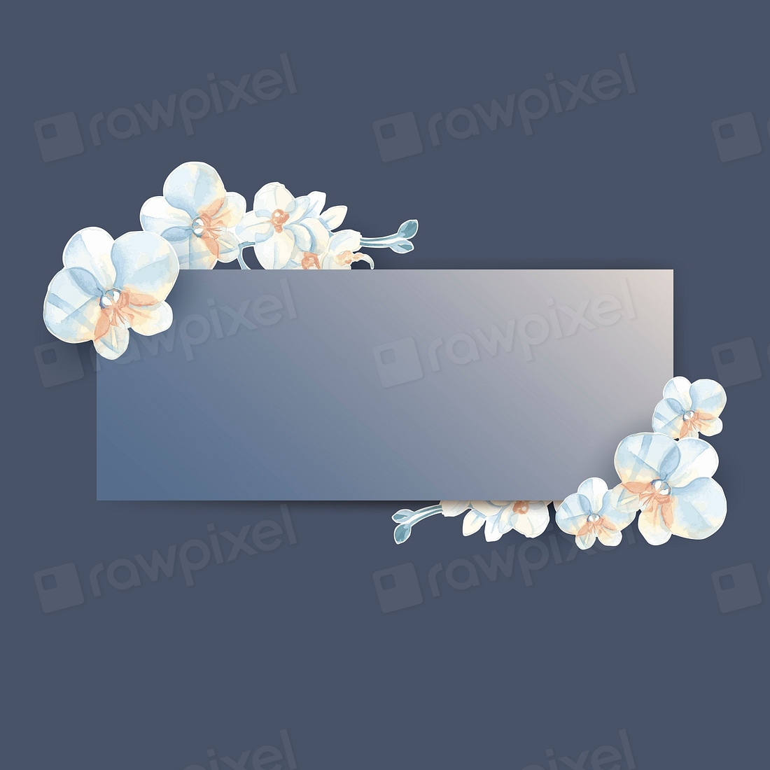 Rectangle blue flower frame vector | Premium Vector - rawpixel