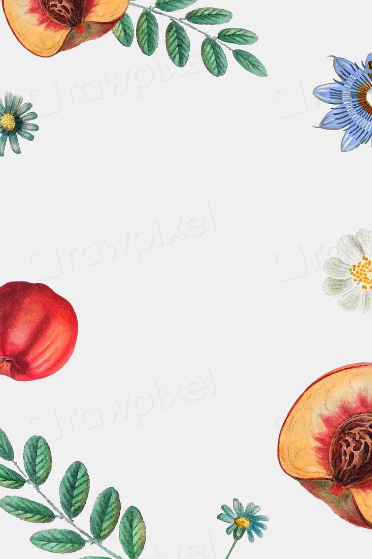 Floral fruity frame design vector | Premium Vector - rawpixel