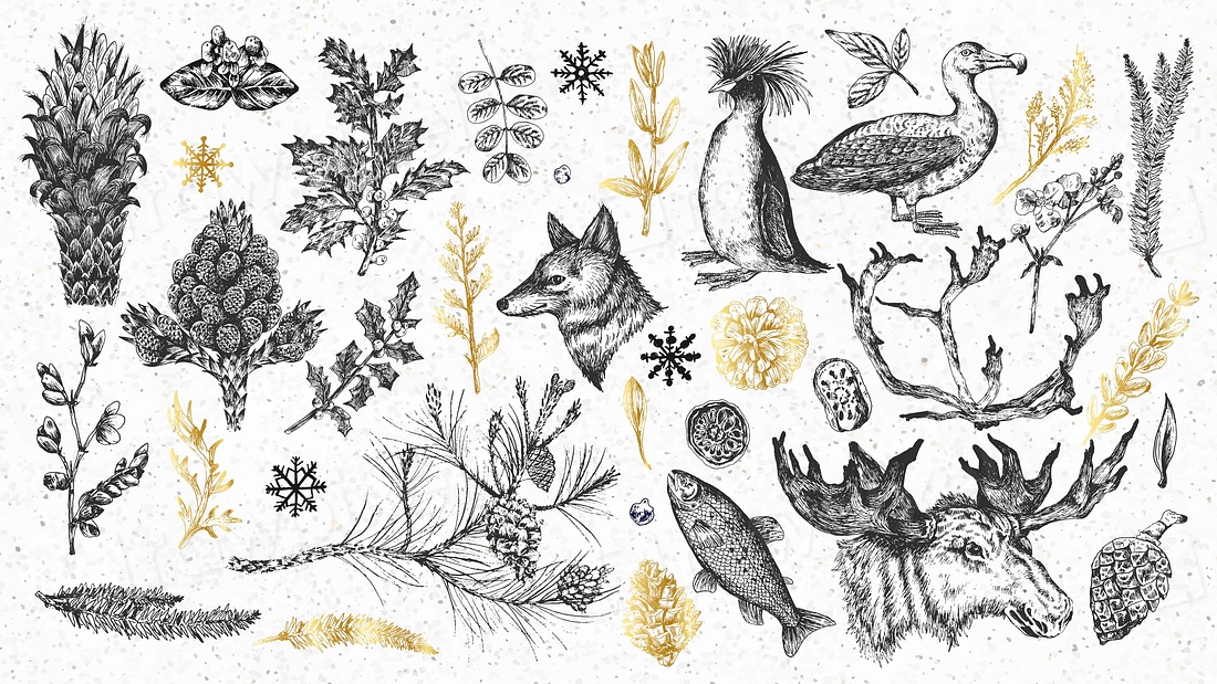 Animal drawing wallpaper collection vector | Premium Vector - rawpixel