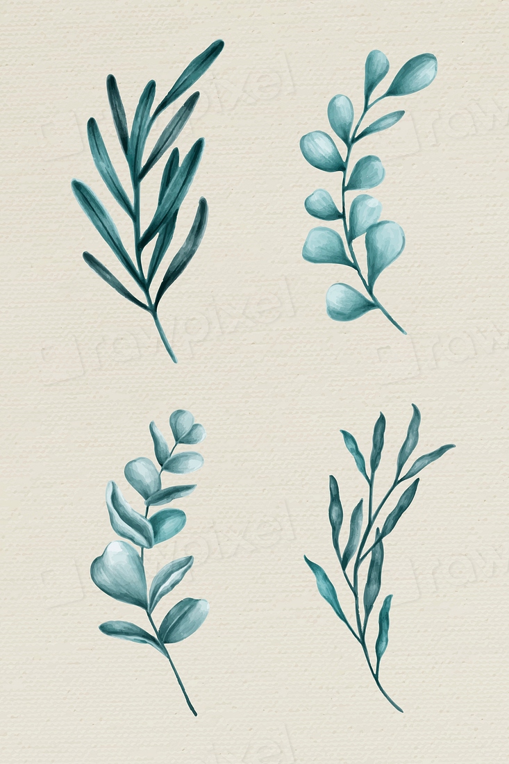 Green leaves collection vector | Premium Vector - rawpixel