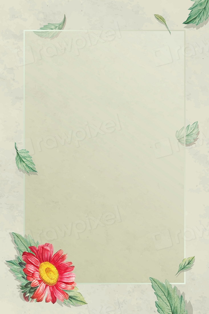 Gerbera daisy pattern frame vector | Premium Vector - rawpixel
