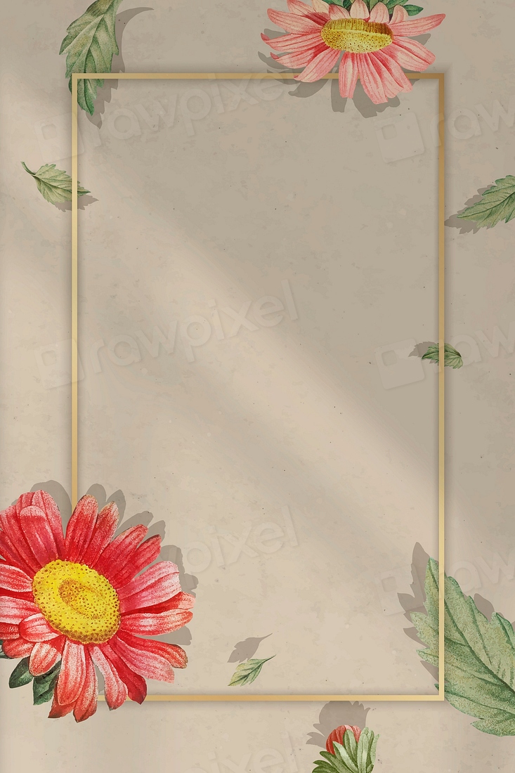 Gerbera daisy pattern frame vector | Premium Vector - rawpixel
