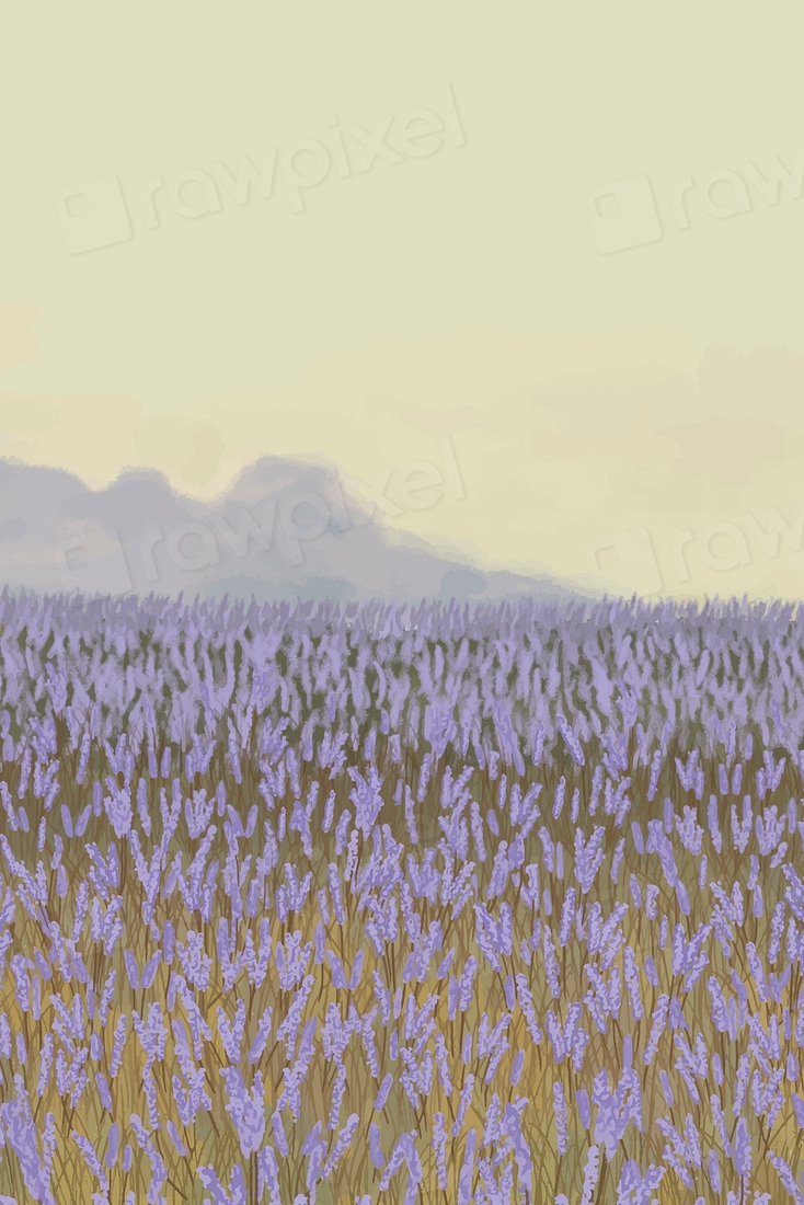 Blooming lavender garden background template | Premium Vector - rawpixel