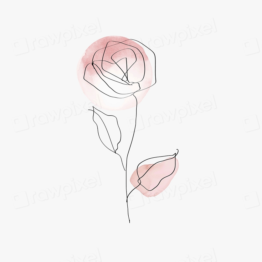 Rose flower vector line art | Premium Vector Illustration - rawpixel