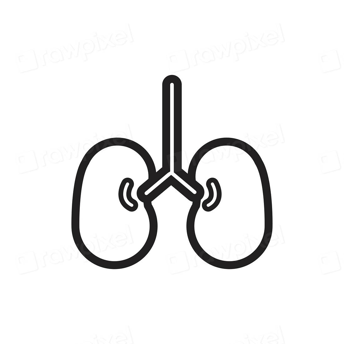 Lung icon vector | Premium Vector - rawpixel