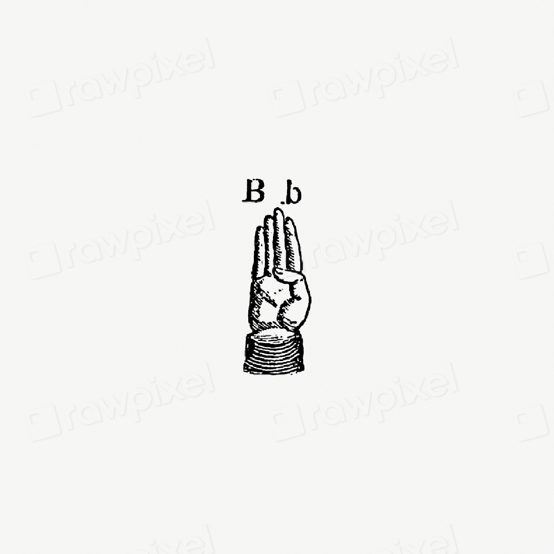 Sign language letter B What | Free Photo Illustration - rawpixel