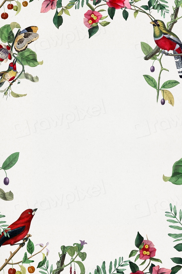 Nature frame, beautiful botanical illustration | Premium PSD - rawpixel