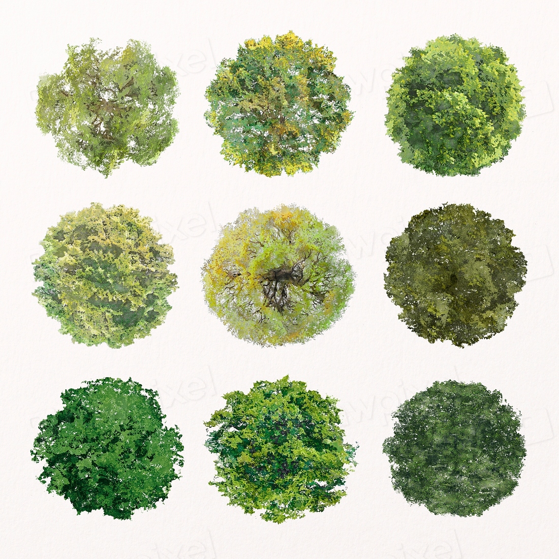 Tree top view illustration set | Premium PSD - rawpixel
