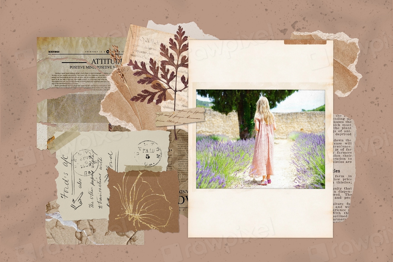 Aesthetic editable mood board | Premium Moodboard Maker - rawpixel