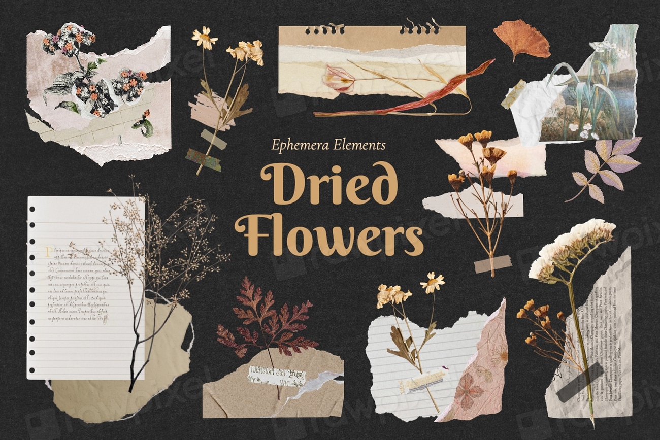 Dried flower, editable design element | Premium Editable Design - rawpixel