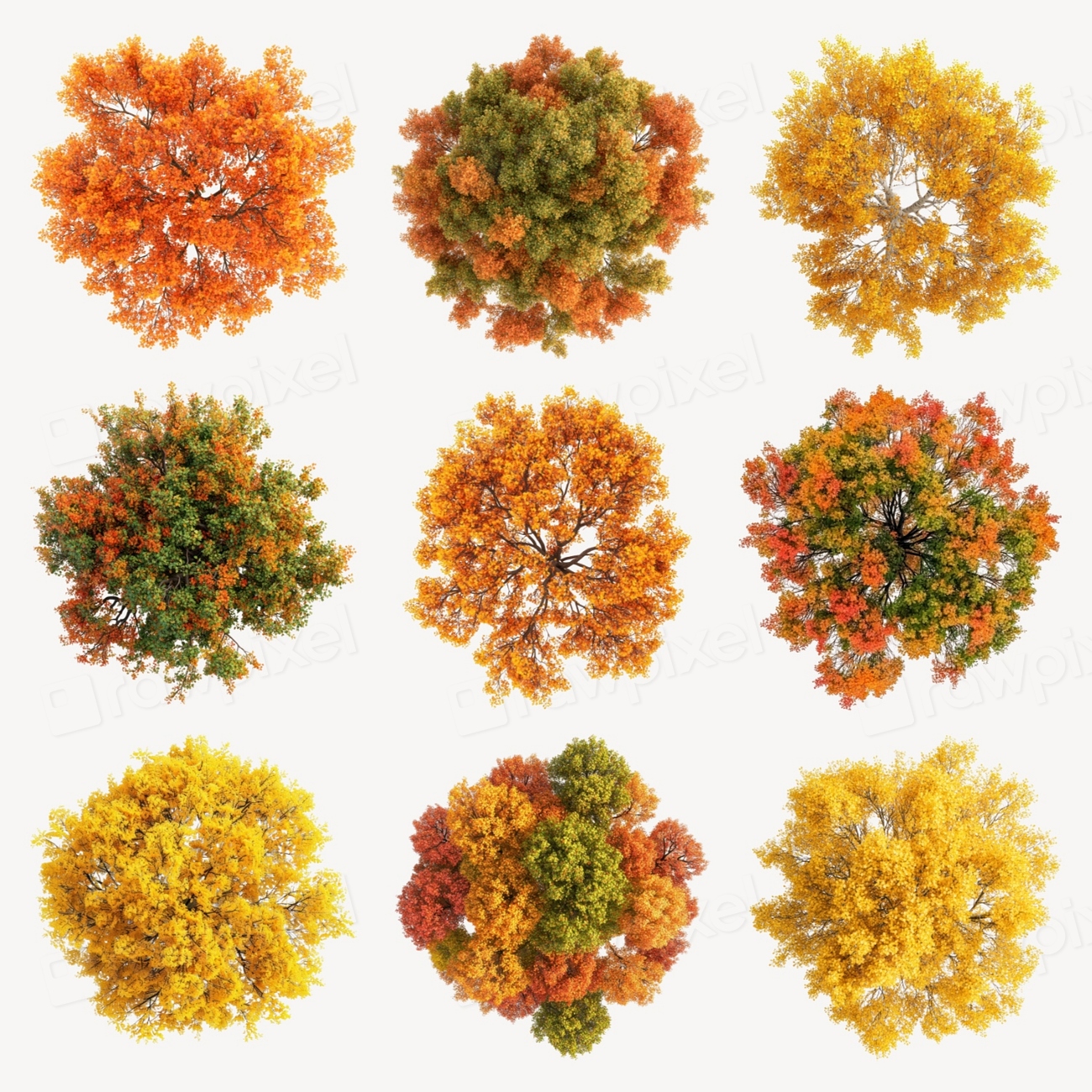 Editable Autumn tree top view | Premium Editable Design - rawpixel