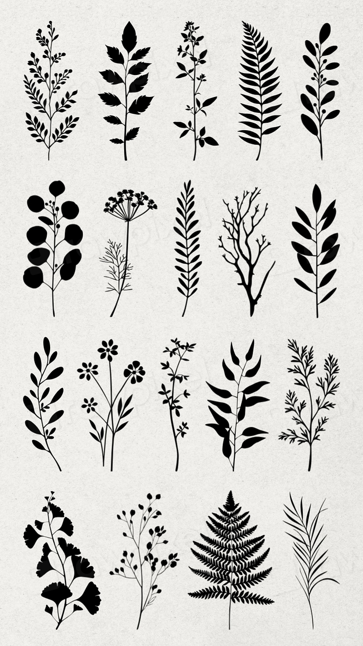 Botanical leaves, editable element set | Premium Editable Design - rawpixel