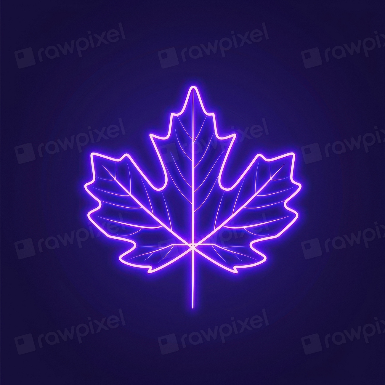 Maple neon astronomy outdoors. | Free Photo Illustration - rawpixel