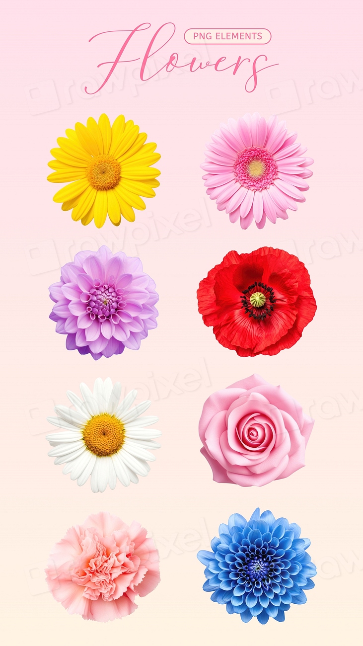 realistic flower design element set | Free Photo - rawpixel