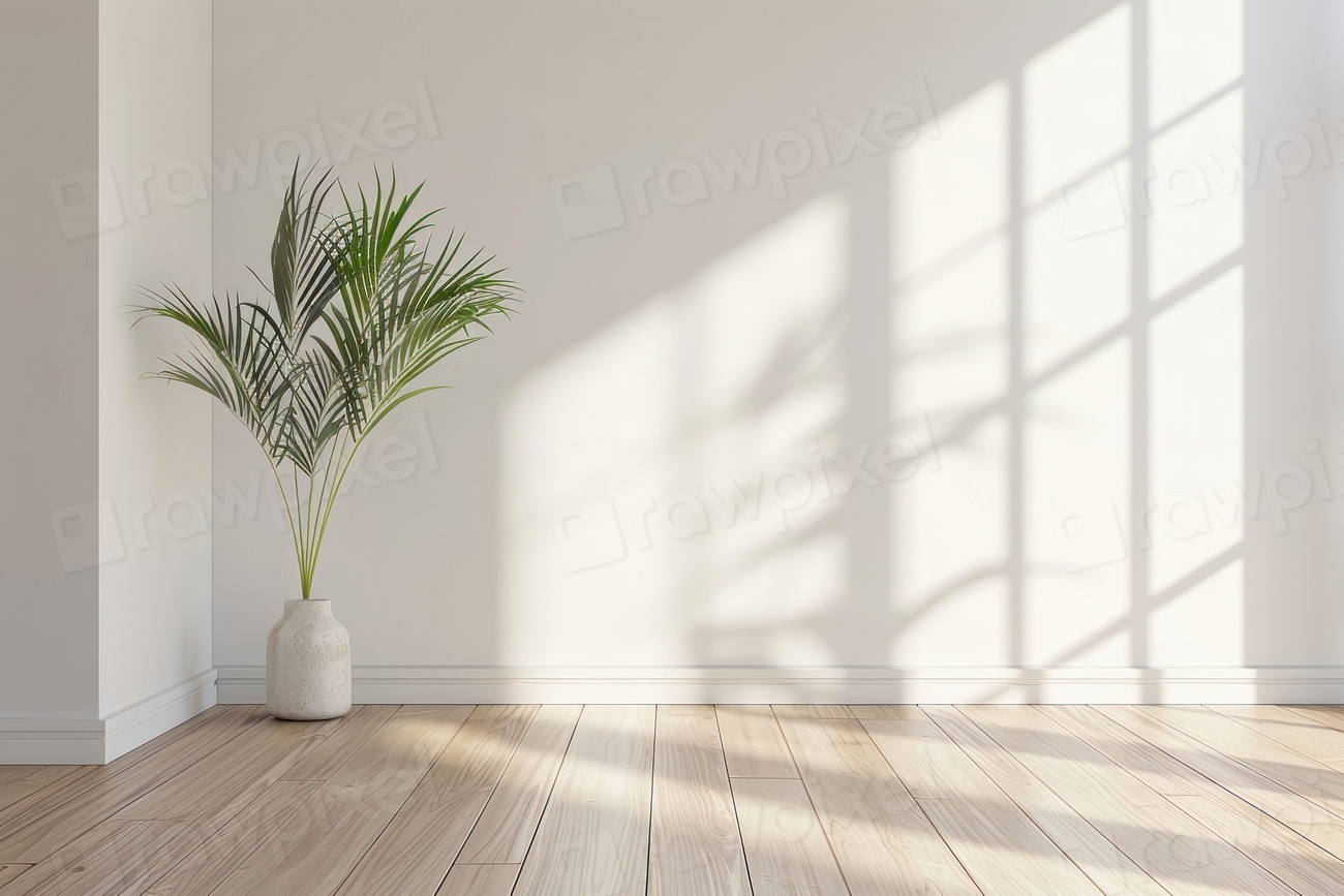 Interior background floor plant minimalist | Free Photo - rawpixel