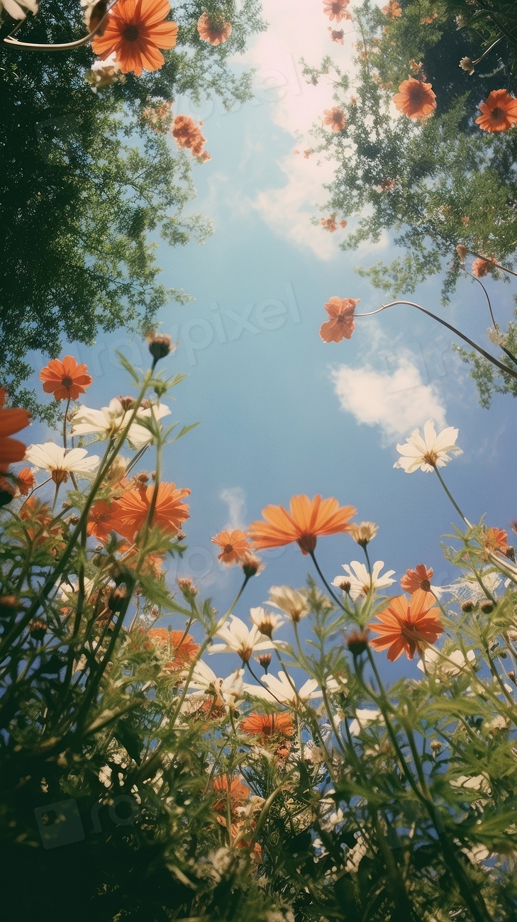 Summer garden photography sunlight outdoors. | Premium Photo - rawpixel