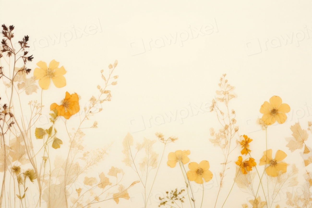 Real pressed flowers backgrounds pattern | Premium Photo - rawpixel