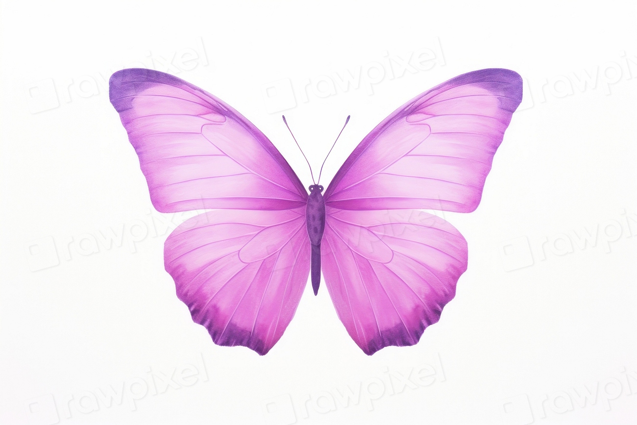 Violet butterfly animal insect purple | Premium Photo Illustration ...