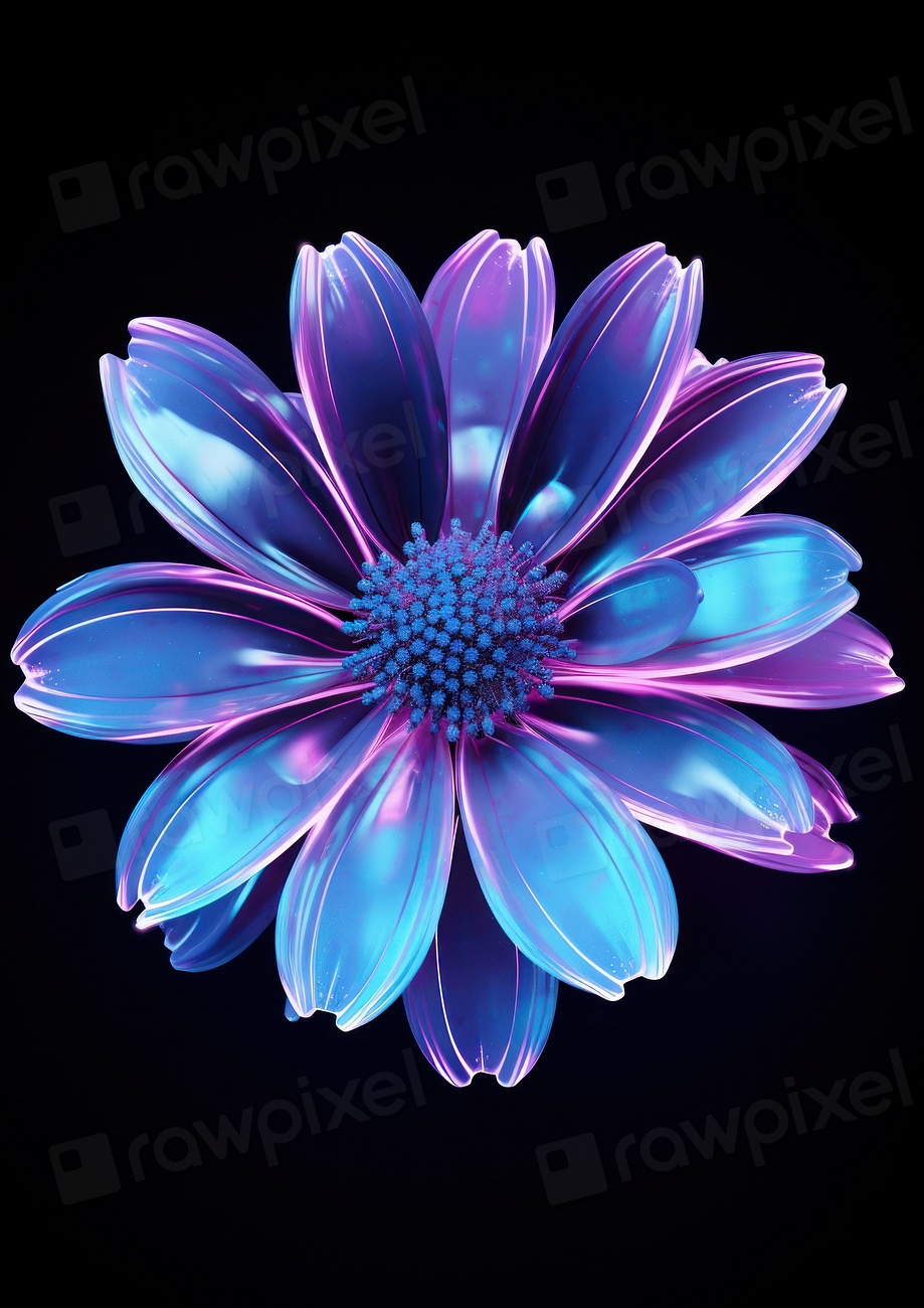 Neon daisy flower violet petal | Premium Photo Illustration - rawpixel