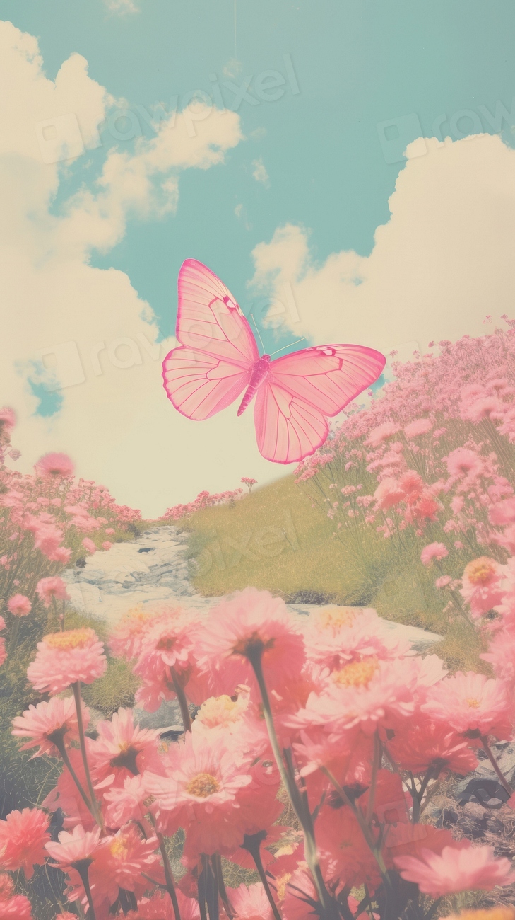 Butterfly spring outdoors nature flower. | Premium Photo - rawpixel