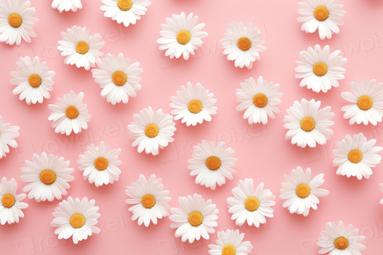 Wallpaper pattern flower daisy backgrounds | Free Photo - rawpixel