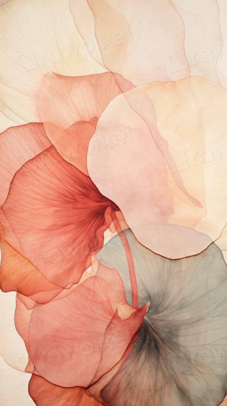 Begonia flower abstract petal art. | Free Photo Illustration - rawpixel