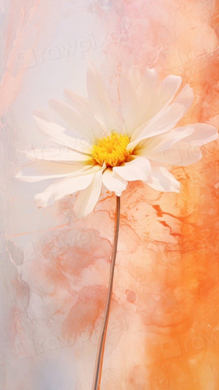 Daisy flower abstract painting petal. | Free Photo Illustration - rawpixel