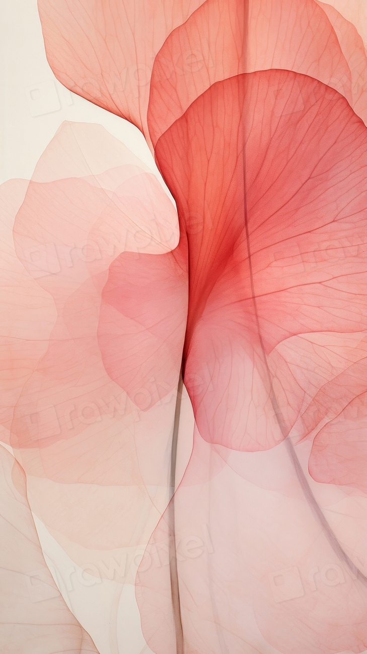Begonia leaf abstract petal backgrounds. | Free Photo Illustration ...