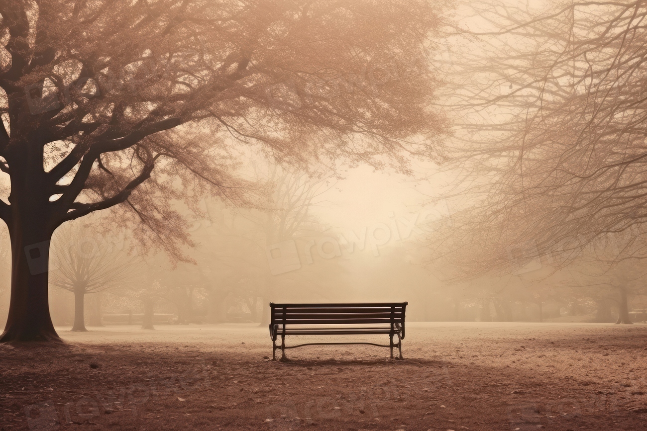Photography park outdoors nature bench. | Premium Photo - rawpixel
