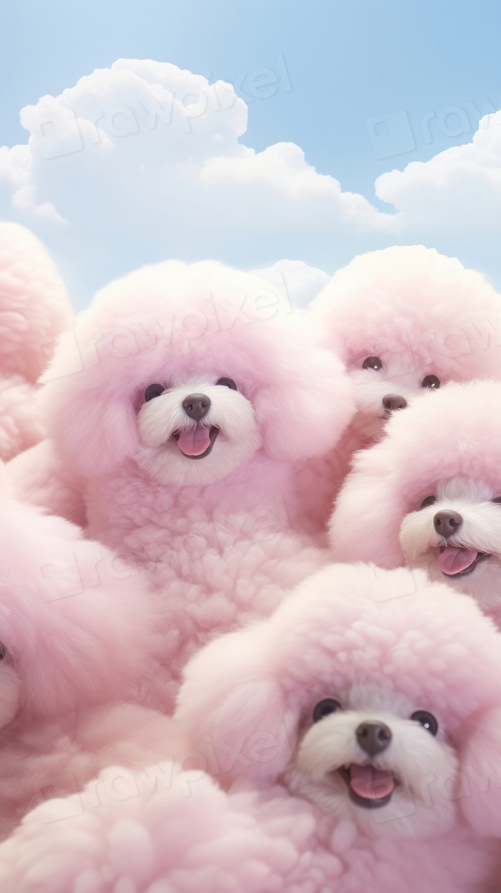 Fluffy pastel Poodle poodle mammal | Premium Photo Illustration - rawpixel
