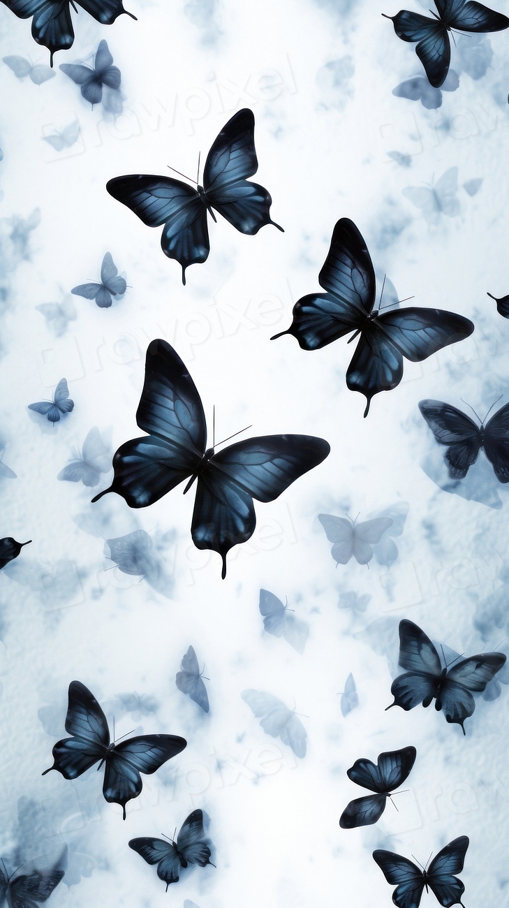 Black butterflies backgrounds butterfly animal. | Premium Photo ...