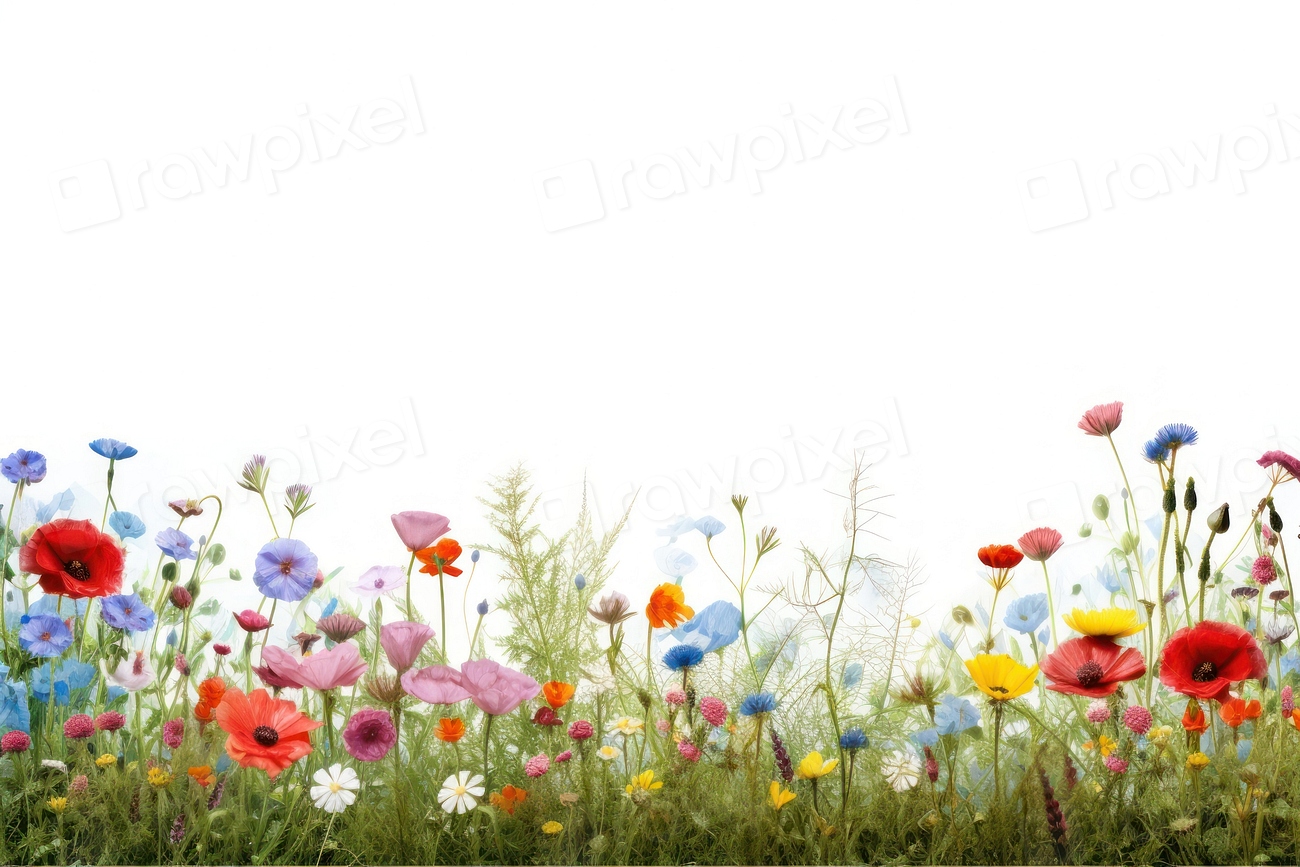 Flower field backgrounds grassland. | Premium Photo - rawpixel