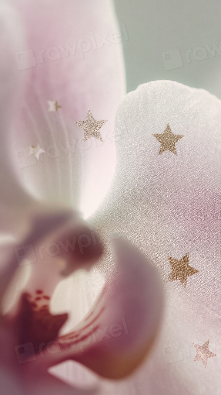 Delicate floral stars elegance | Free Photo - rawpixel