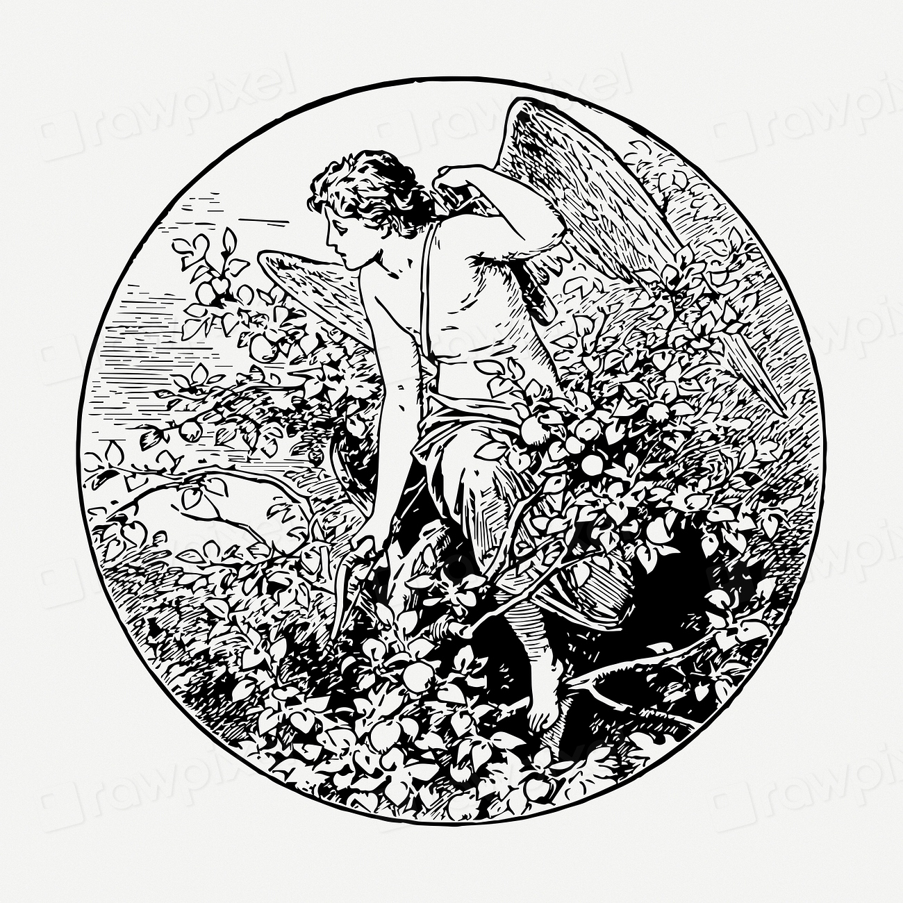 Angel drawing, vintage mythical creature | Free PSD - rawpixel