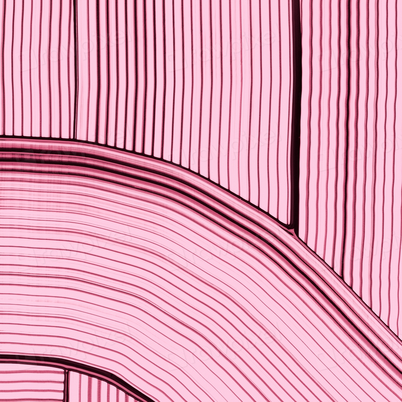 Acrylic pink textured background waved | Free Photo - rawpixel