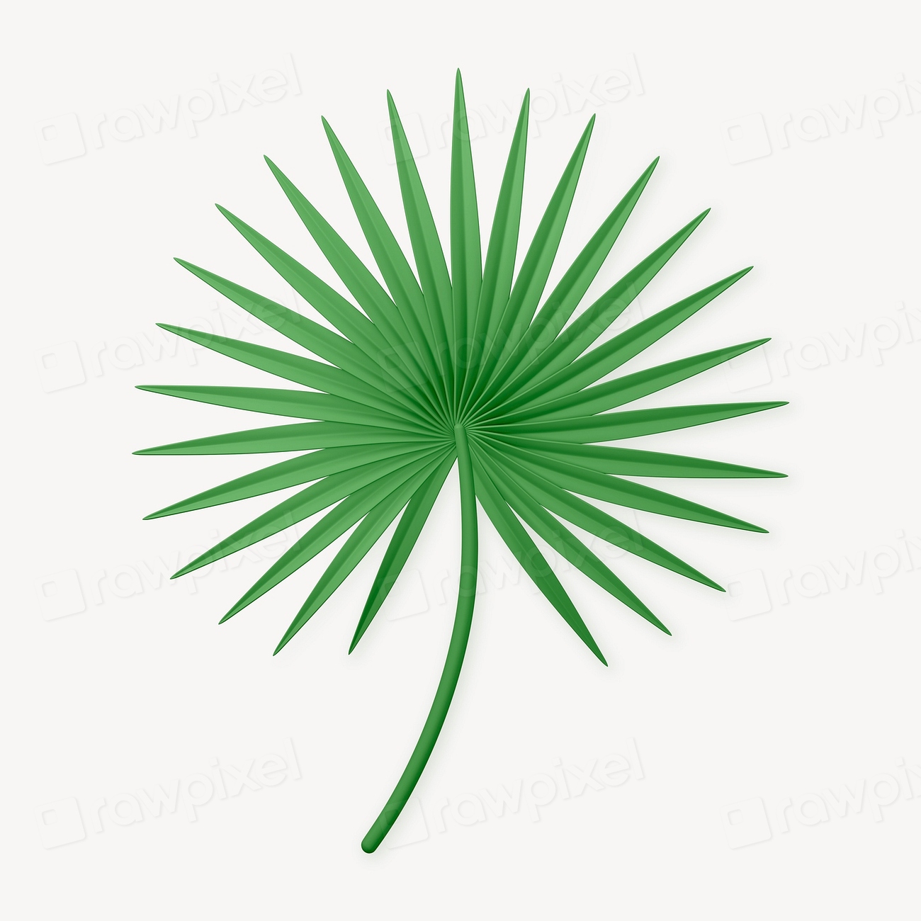 Cartoon fan palm clipart, botanical | Free Photo Illustration - rawpixel