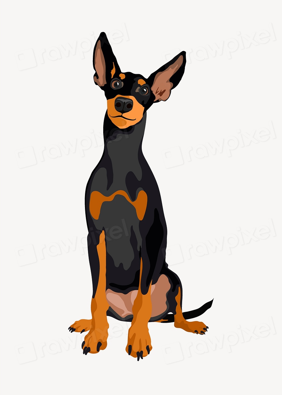 Mini pinscher dog, realistic illustration | Premium Vector Illustration ...