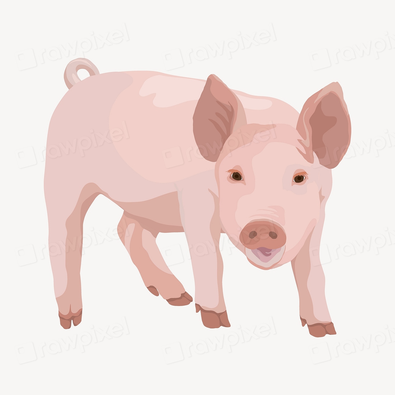 Cute piglet illustration, farm animal | Premium Vector Illustration ...