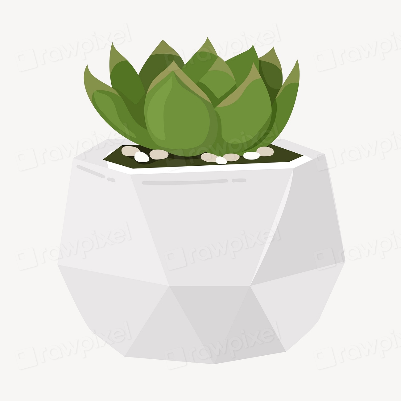 Succulent plant, cute cartoon illustration | Free Photo Illustration ...