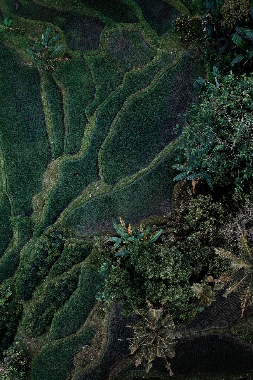 Aerial view hanging rice fields | Free Photo - rawpixel