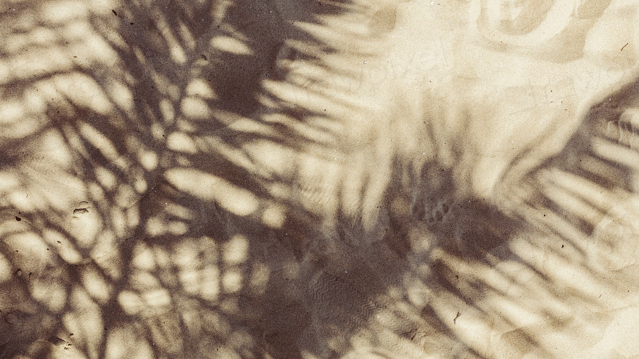 Leaf shadow desktop wallpaper, HD | Premium Photo - rawpixel