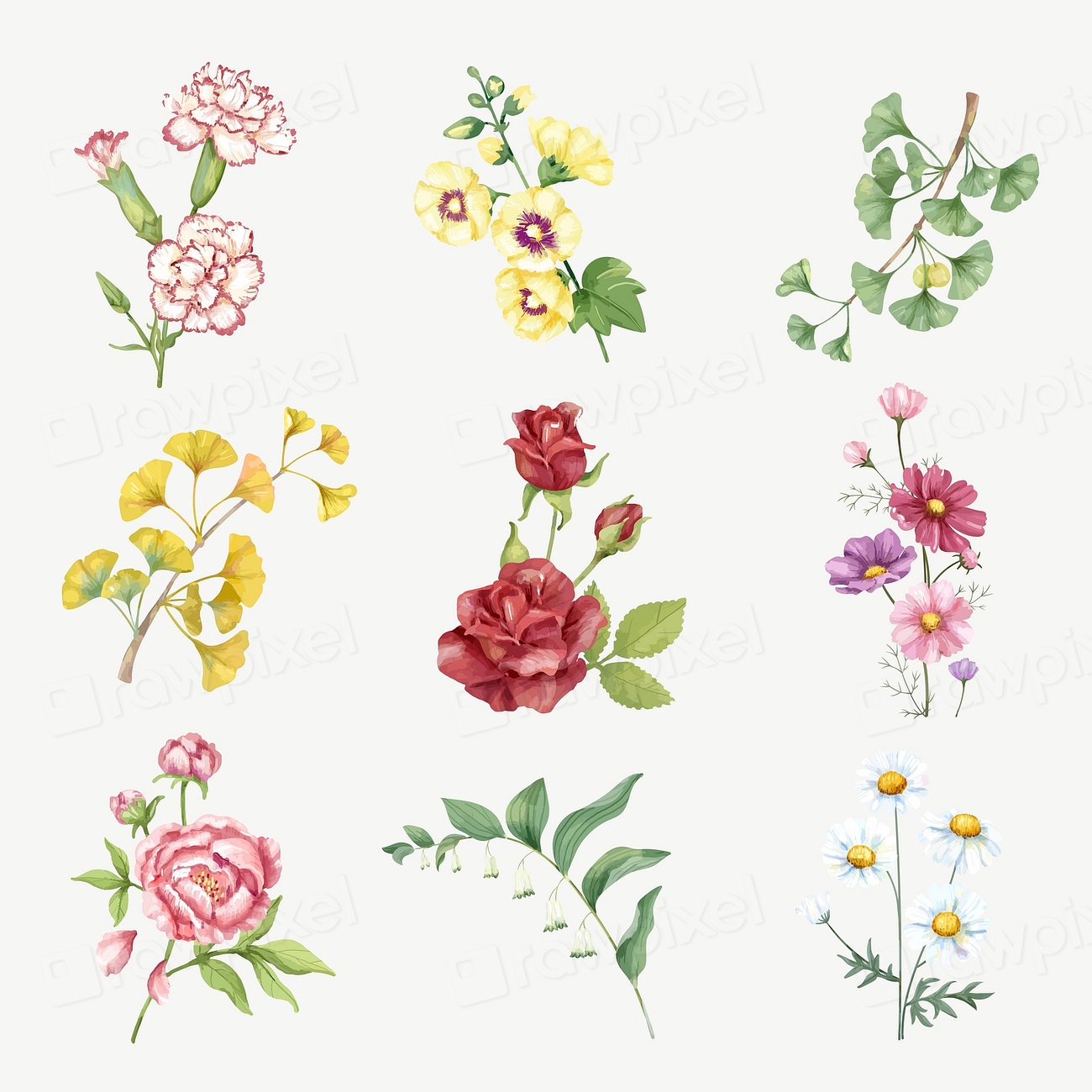 Aesthetic flower sticker, floral & | Premium Vector - rawpixel