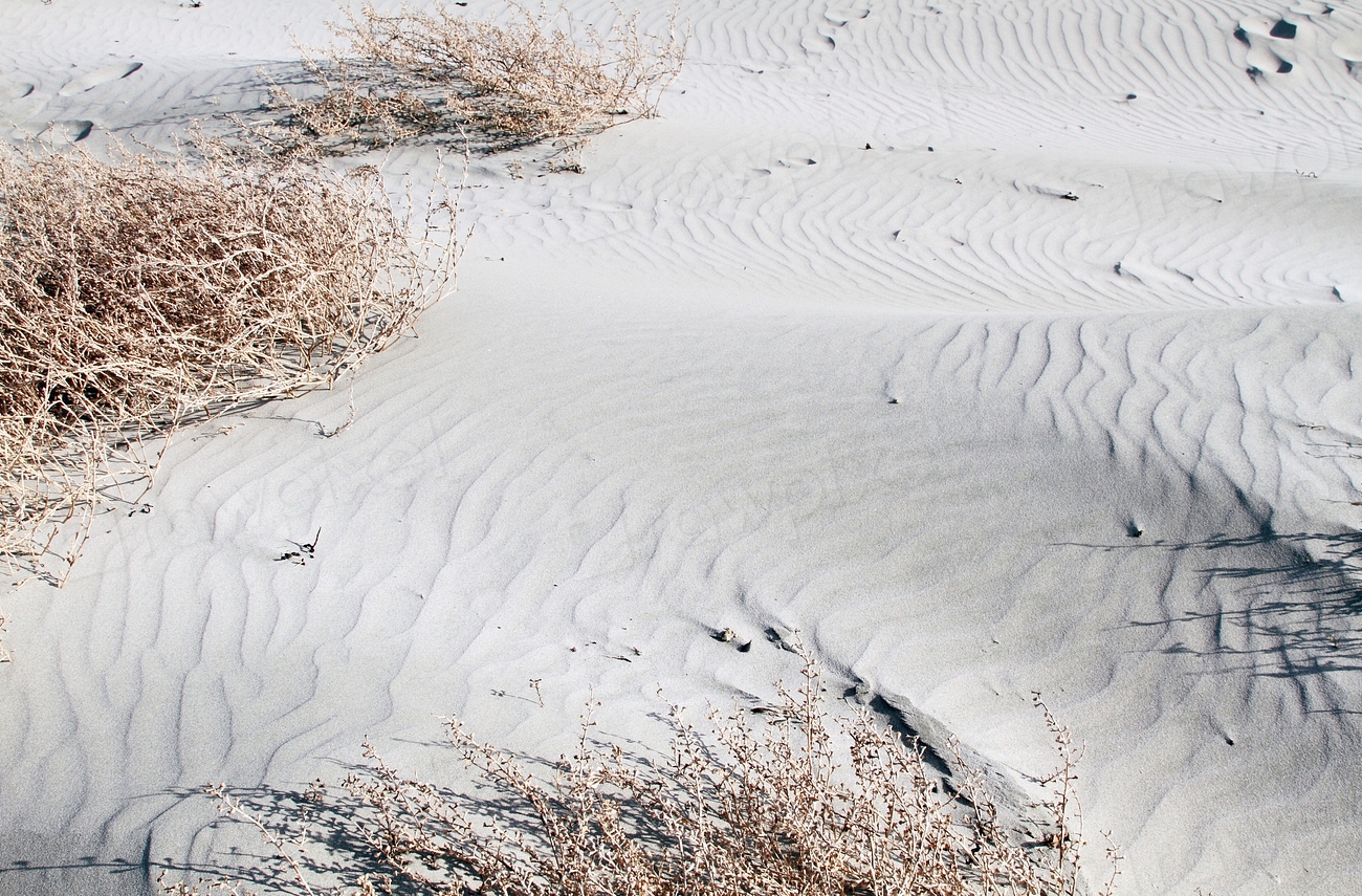 White sand texture. Free public | Free Photo - rawpixel